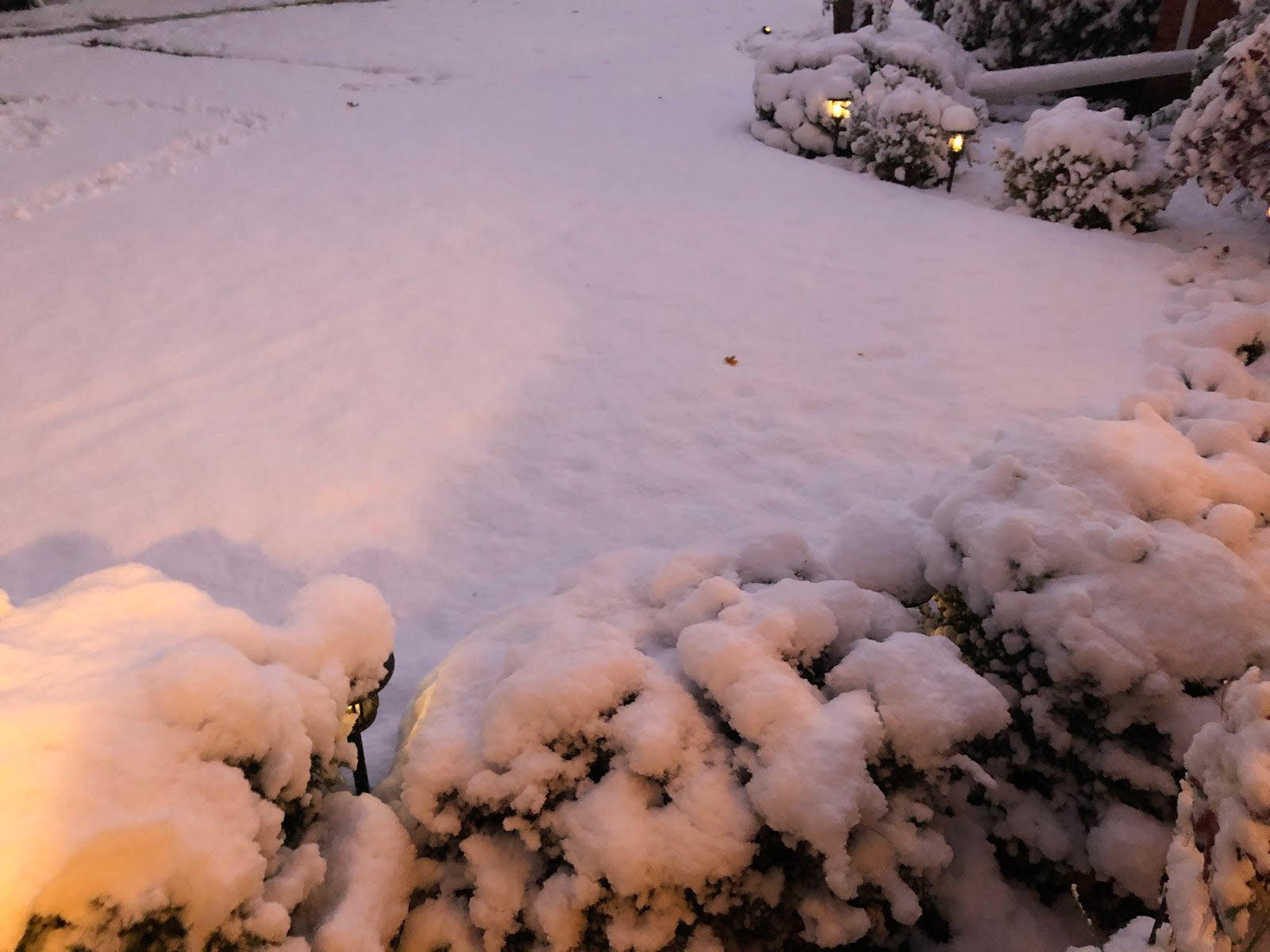 Your Lawn Care Season is NOT Over Yet – LawnCareNut