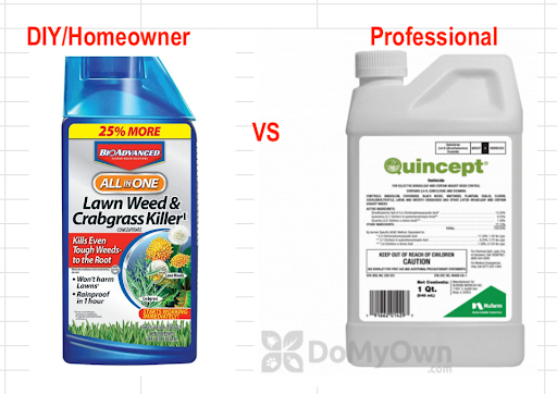 Weed Control for Cool Season Lawns | The Lawn Care Nut – LawnCareNut
