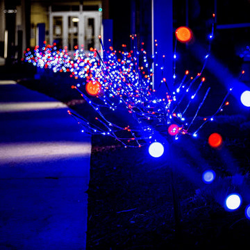 Christmas Lights – LawnCareNut