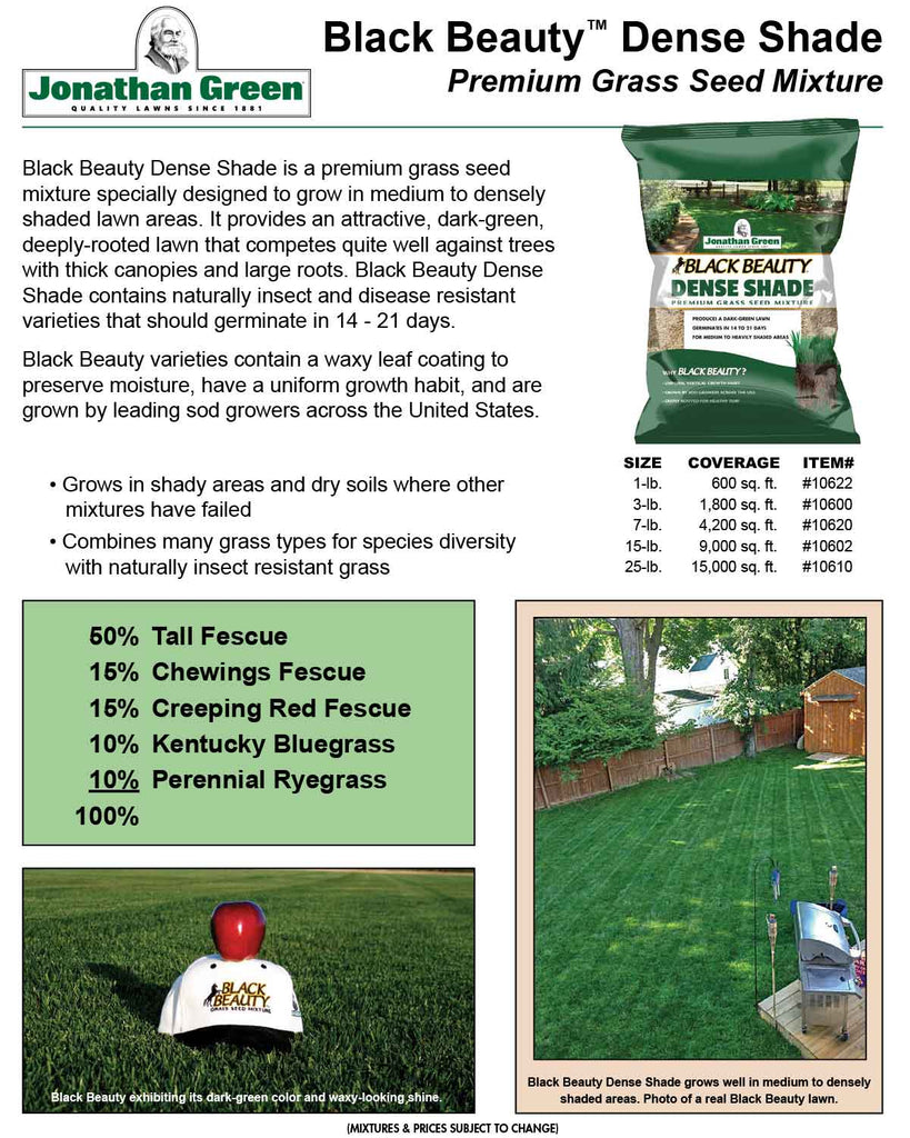 Black Beauty Dense Shade Grass Seed | Jonathan Green – LawnCareNut
